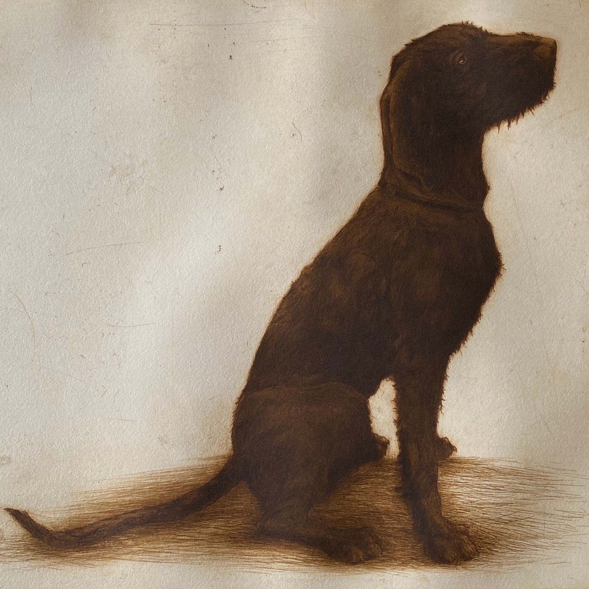 Helen Fay – Zillah Bell Gallery