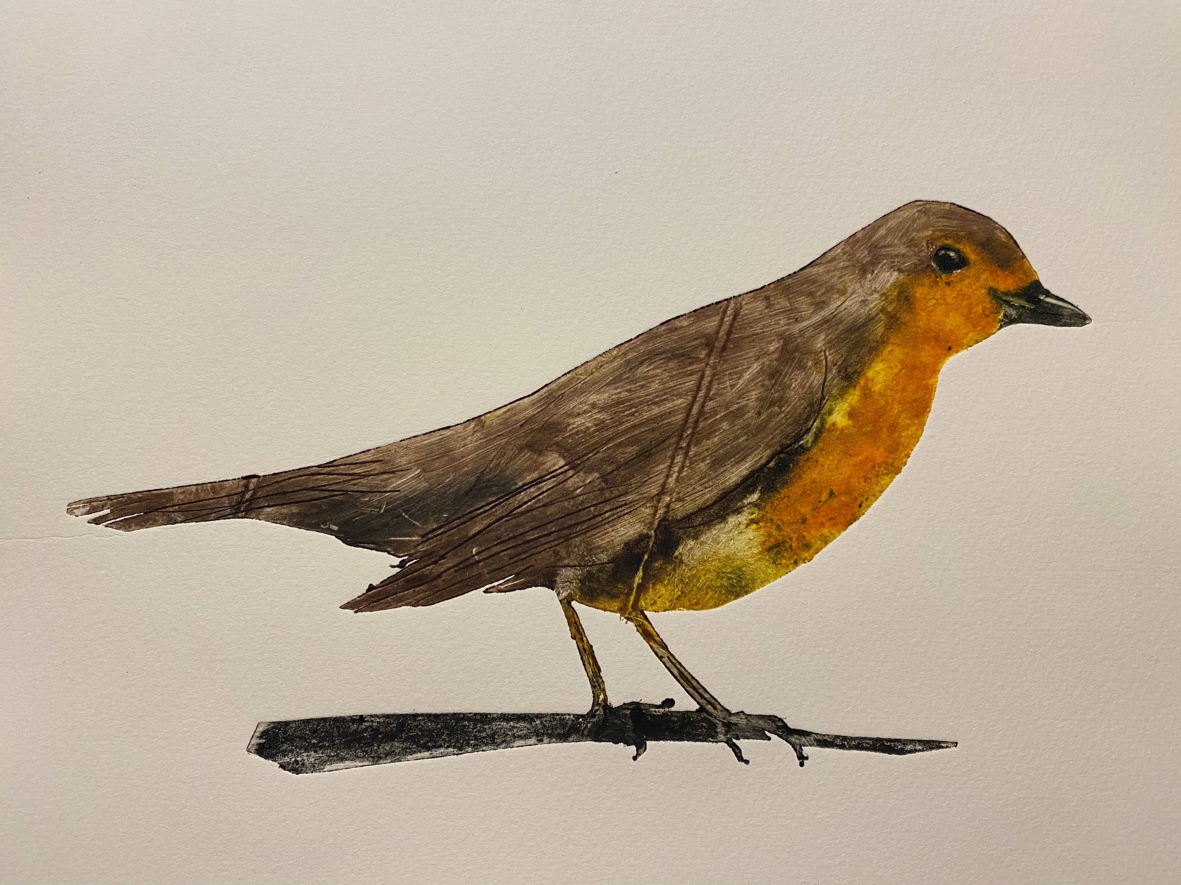 Robin – Zillah Bell Gallery