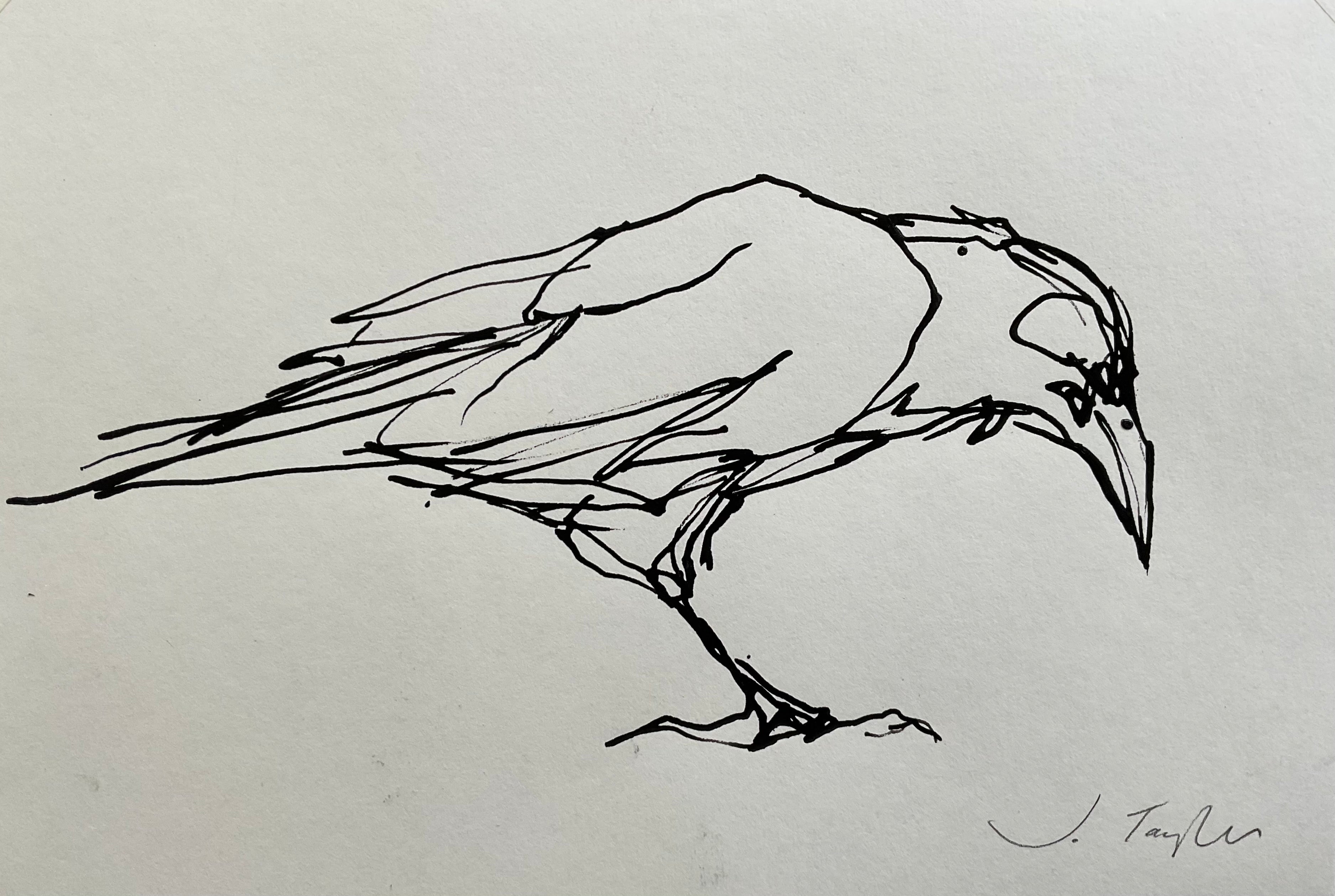 Crow – Zillah Bell Gallery