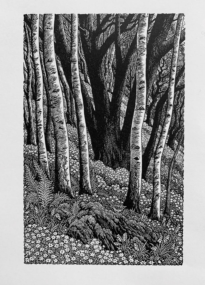Sue Scullard – Zillah Bell Gallery