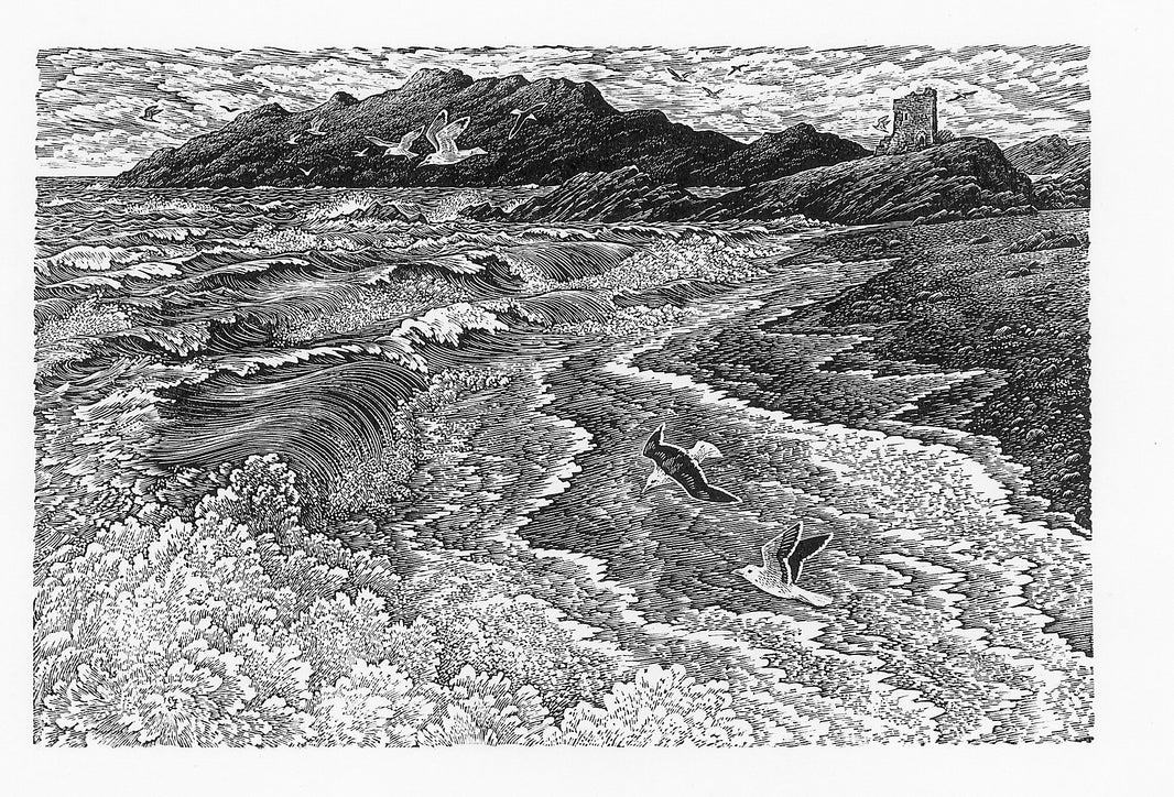 Sue Scullard – Zillah Bell Gallery